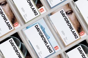 New Branding for David Rowland by ico Design — BP&O