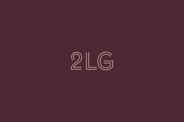 New Graphic Identity for 2LG Studio by Two Times Elliott
