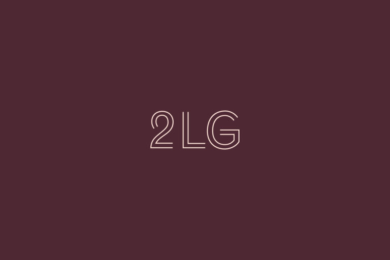 New Graphic Identity for 2LG Studio by Two Times Elliott