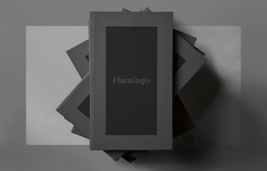 New Brand Identity for Flamingo by Bibliotheque — BP&O