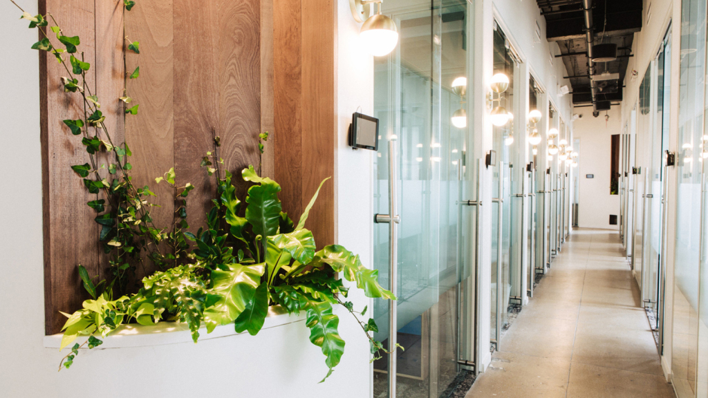 New Logo & Brand Identity for Primary by DIA — BP&O