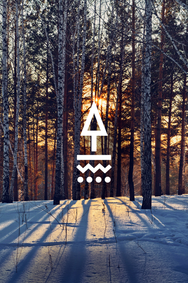 New Packaging for Tapped Birch Water by Horse — BP&O