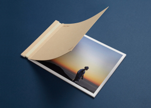 New Brand Identity for David Ryle by S-T — BP&O