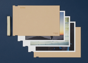 New Brand Identity for David Ryle by S-T — BP&O