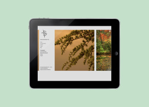 New Brand Identity for Andrew Schweitzer Foto - BP&O