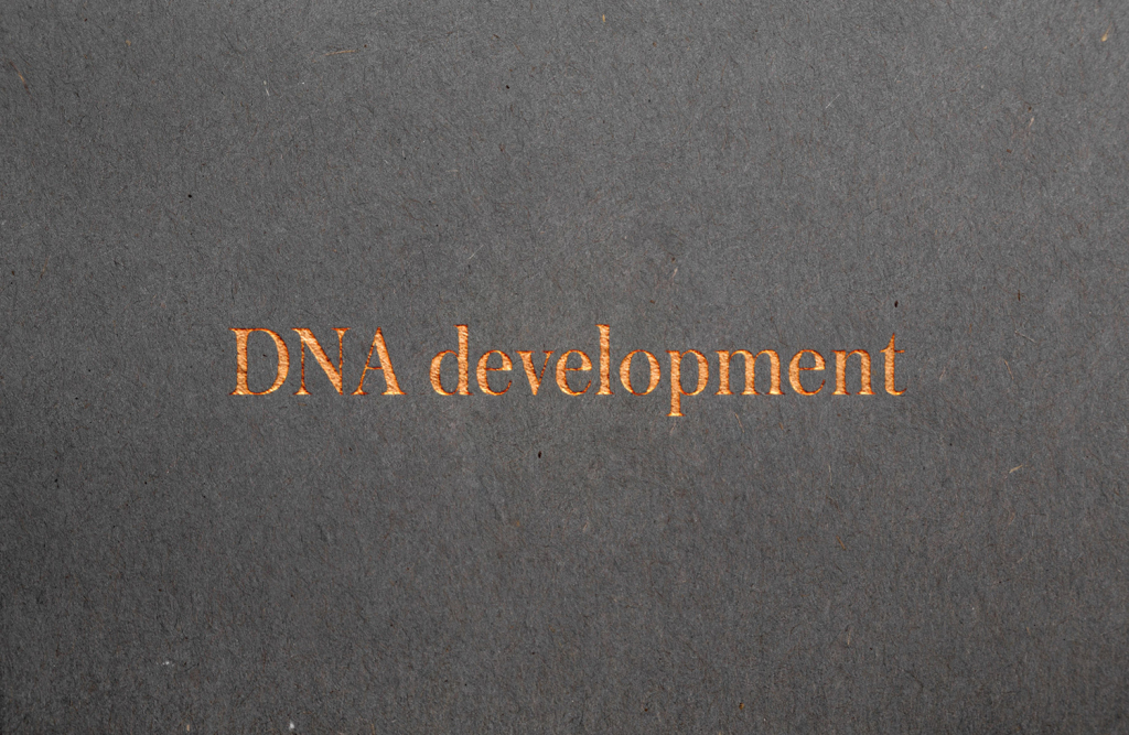 New Brand Identity for DNA Development by Face — BP&O