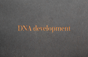 New Brand Identity for DNA Development by Face — BP&O