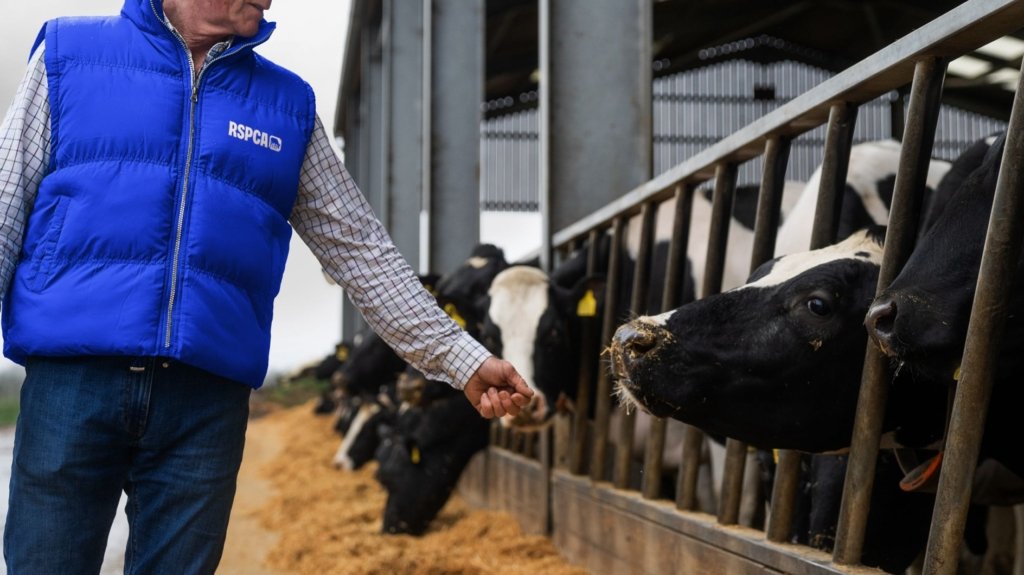 New Logo & Branding for RSPCA by JKR — BP&O