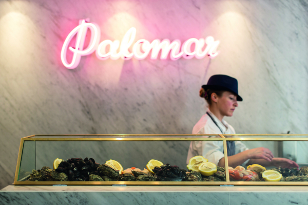 New Brand Identity for The Palomar by Here - BP&O