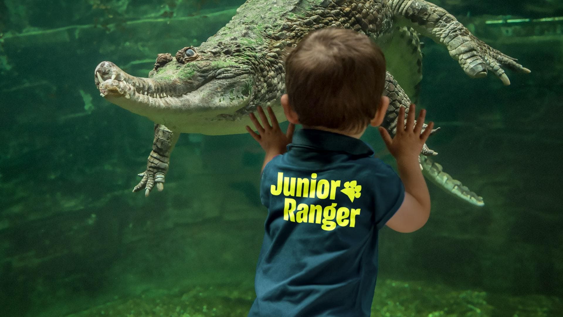 New Logo & Branding for Chester Zoo by How&How — BP&O