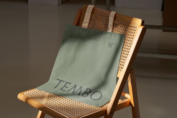 New Logo & Branding for Tembo by Perky Bros — BP&O
