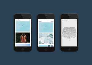 New Brand Identity for David Ryle by S-T — BP&O