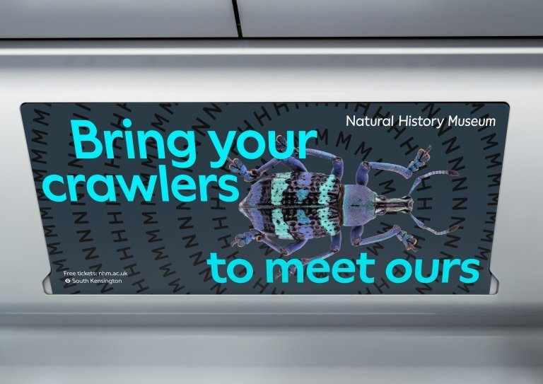 Natural History Museum by Pentagram & Nomad — BP&O