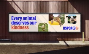 New Logo & Branding for RSPCA by JKR — BP&O