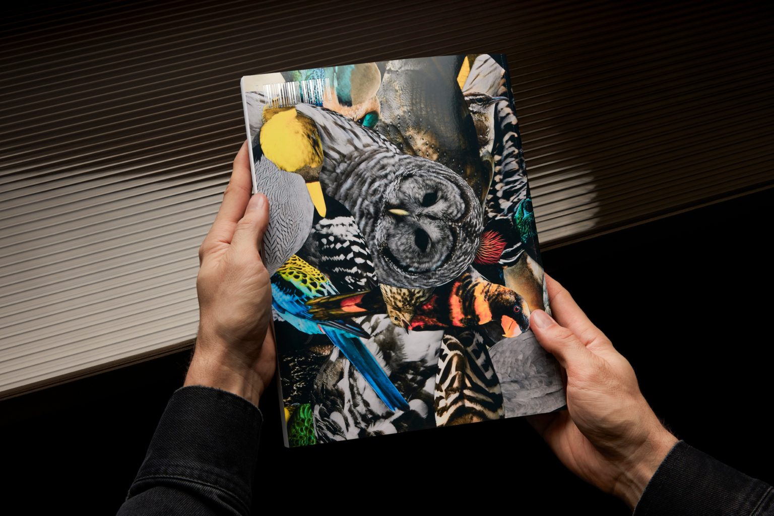 Erik Berglin: The Bird Project by Lundgren+Lindqvist — BP&O