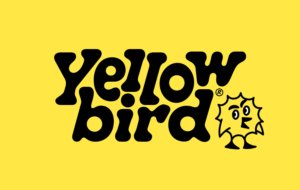 Search — BP&O - Branding, Packaging and Opinion