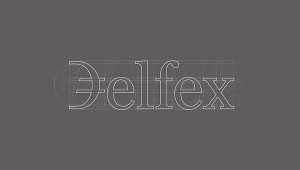 New Visual Identity for Delfex by Jan Zabransky - BP&O