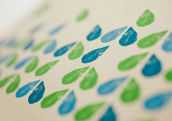 New Packaging for Earthwise by BRR - BRR