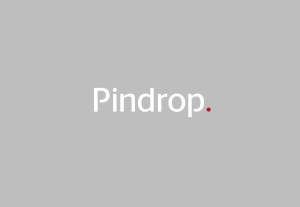 New Brand Identity for Pindrop by Nudge - BP&O
