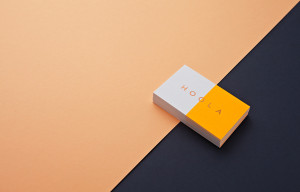 New Brand Identity for Hoola Swimwear by Two Times Elliott - BP&O
