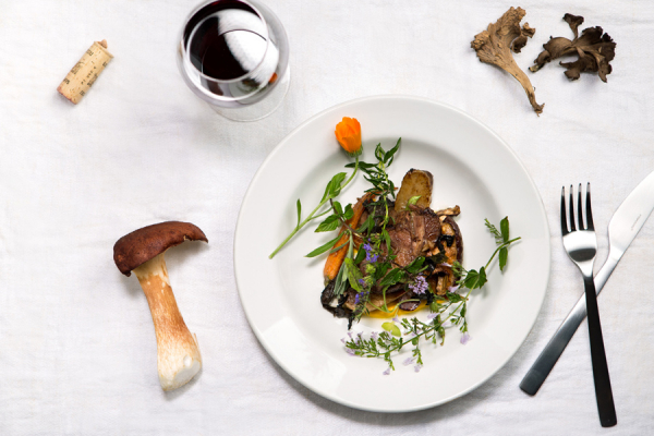 New Logo and Brand Identity for Miinus by Bond - BP&O