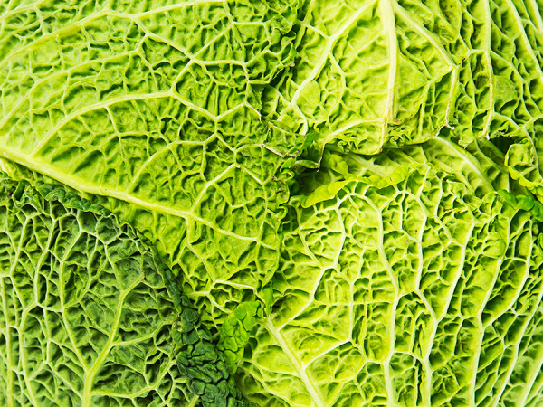 New Logo and Brand Identity for Miinus by Bond - BP&O