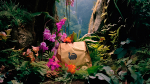 New Logo & Branding forDe-Extinction by Koto — BP&O