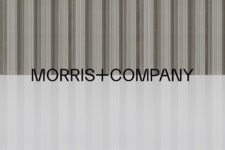 New Graphic Identity for Morris+Company by Bob Design — BP&O