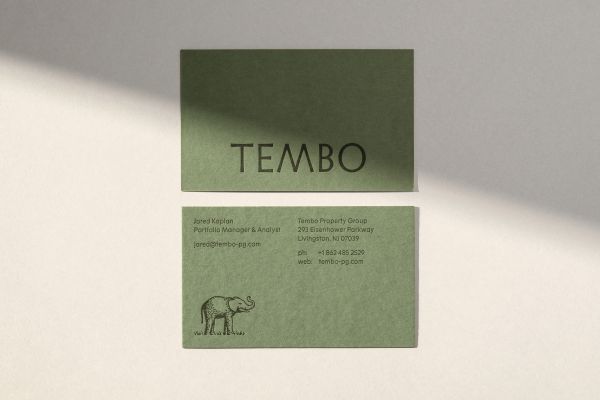 New Logo & Branding for Tembo by Perky Bros — BP&O