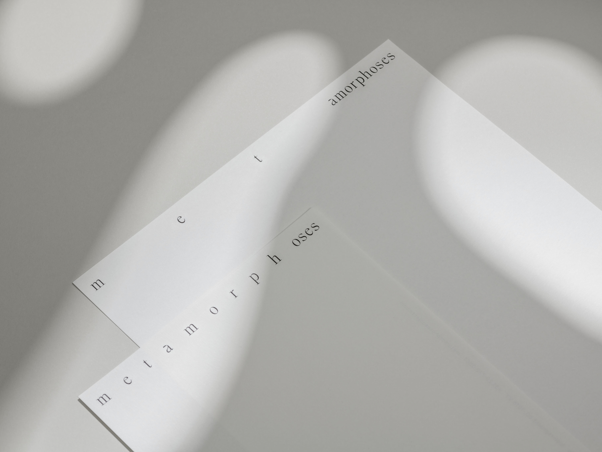 Metamorphoses by A Practice For Everyday Life — BP&O