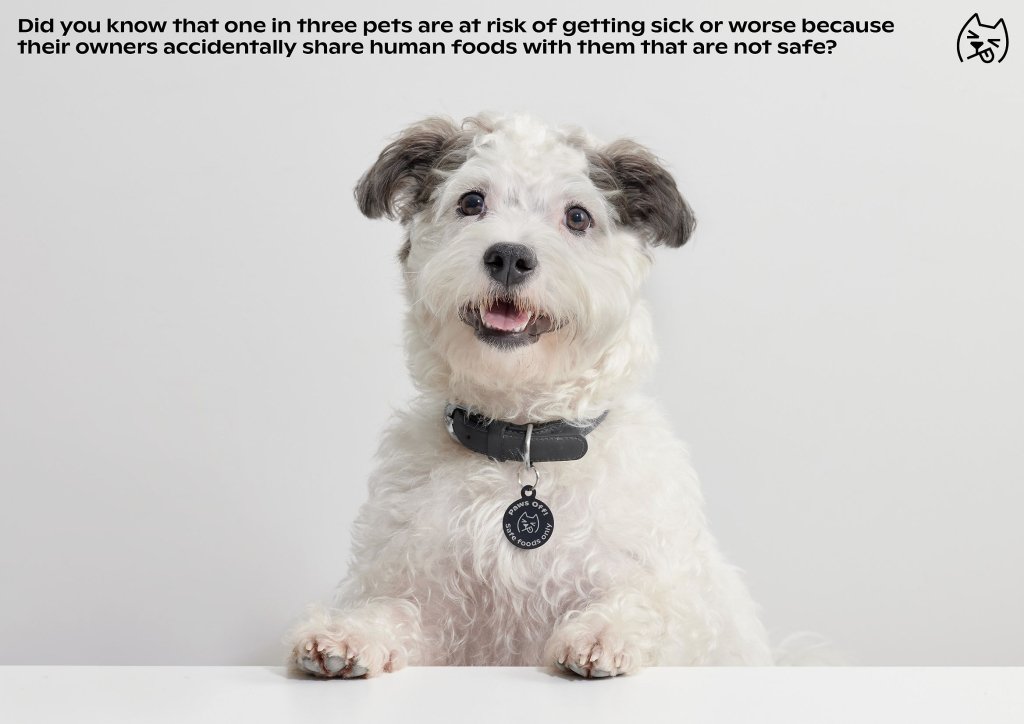 New Logo & Branding for Paws Off! by Seachange – BP&O