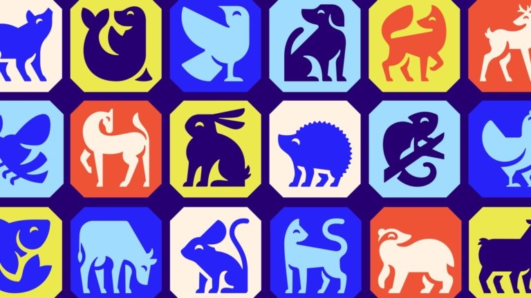 New Logo & Branding for RSPCA by JKR — BP&O
