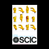 SCIC by Franco M. Ricci — BP&O History