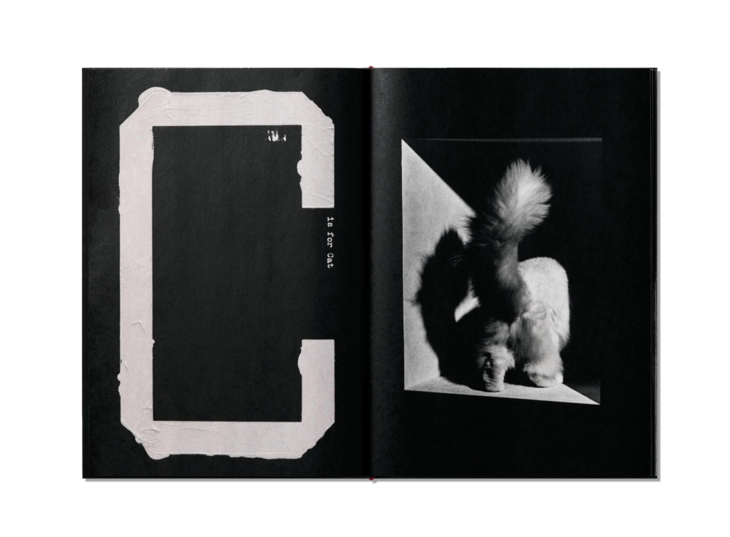 New Logo for Helions by Pentagram — BP&O