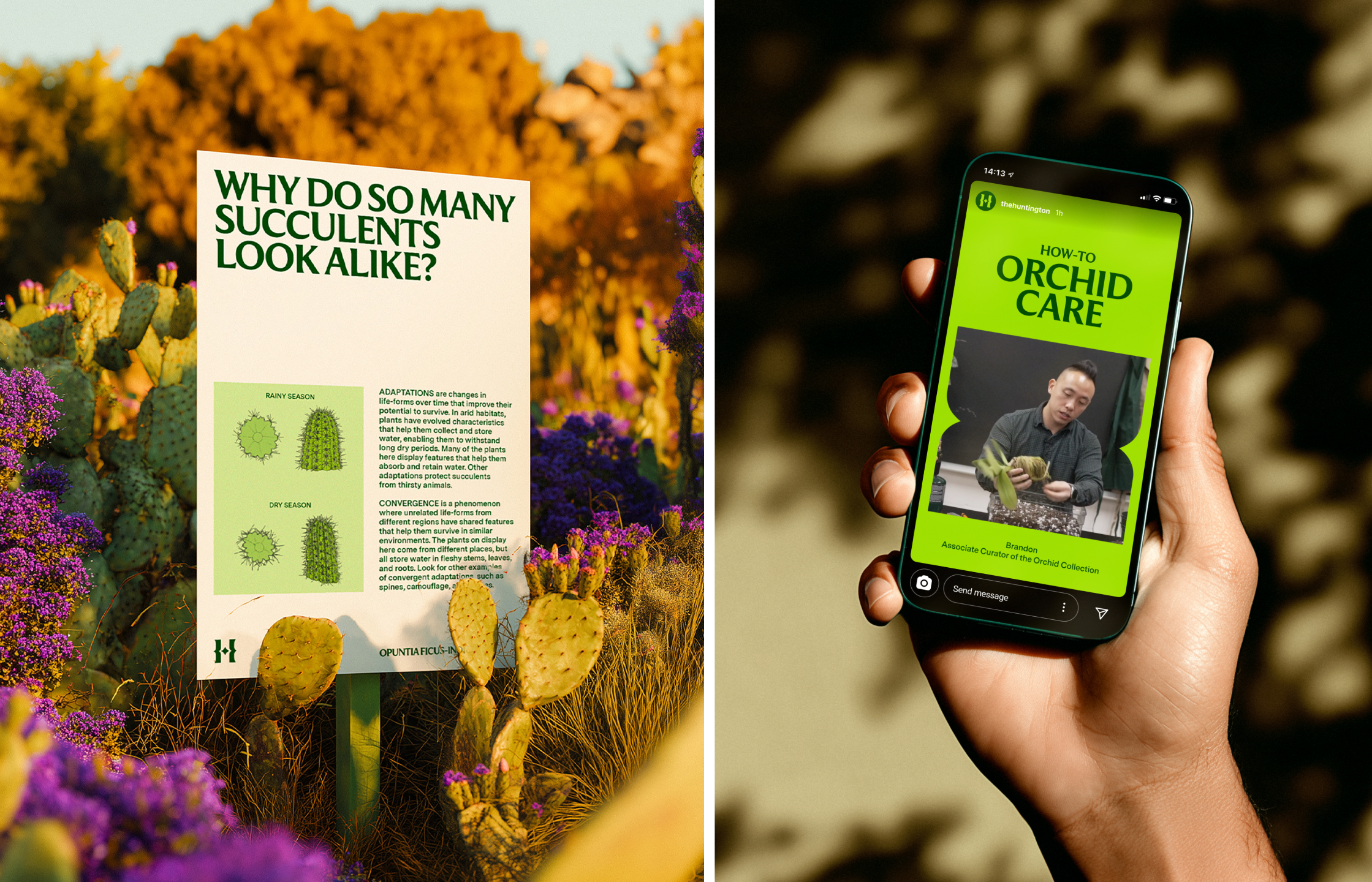 The Huntington by Base Design — BP&O - Branding, Packaging and Opinion