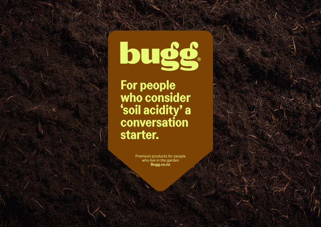Bugg by Seachange — BP&O - Branding, Packaging and Opinion