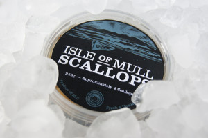 New Packaging for Isle of Mull Scallops by My Creative - BP&O